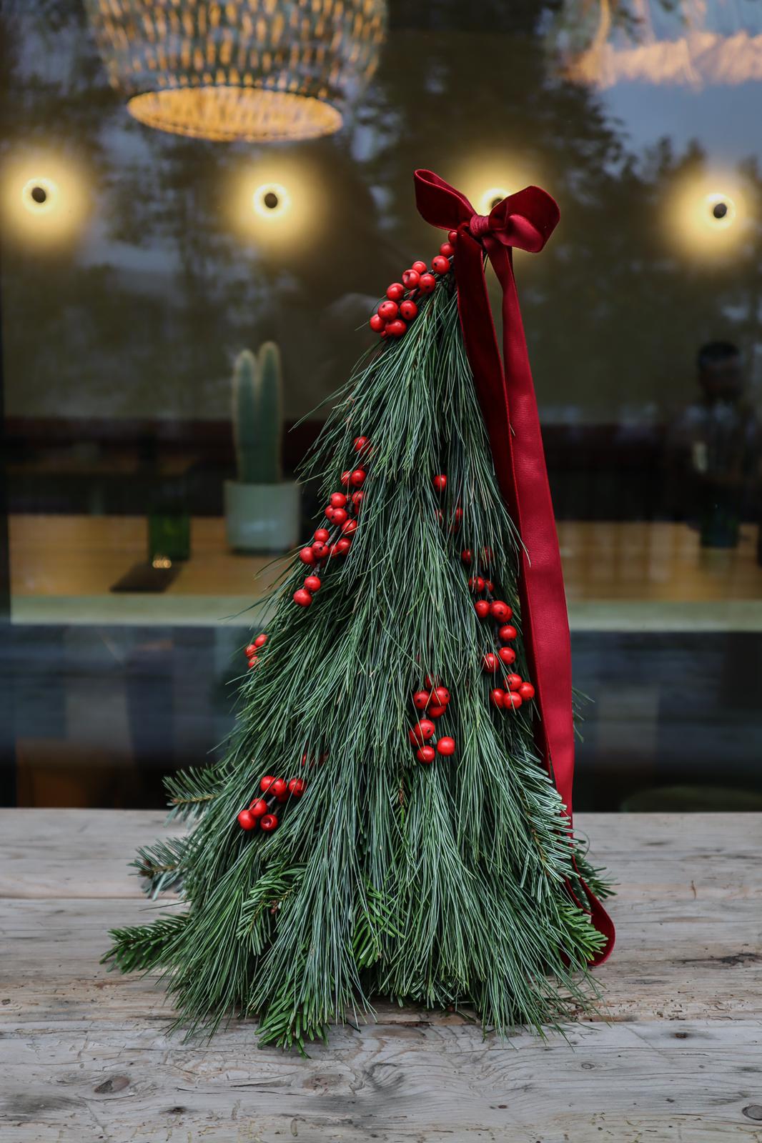 Brăduț natural - Ruby Ilex - Studio Garden - Proiectare, amenajare și ...